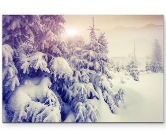 Paul Sinus Art Leinwandbilder | Bilder Leinwand 120x80cm Schneebedeckte Bäume in einer Winterlandschaft