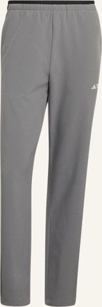 ADIDAS TERREX Adidas Terrex Terrex Multi Liteflex Hose grau