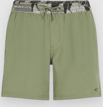 O'Neill Pocket Print 16 Boardshorts avery fern