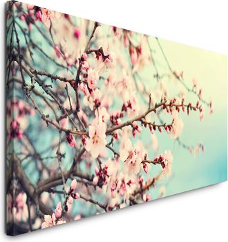 Paul Sinus Art GmbH Pinke Fr&uuml;hlingsblume 120x 50cm Panorama Leinwand Bild XXL Format Wandbilder Wohnzimmer Wohnung Deko Kunstdrucke