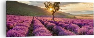 Arttor Panorama Bilder auf Leinwand Lavendel Berge Feld Leinwandbild 140x50cm Wandbilder Dekoration Wohnzimmer Schlafzimmer K&uuml;che Gro&szlig; XXL Wanddeko Bild Wand