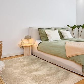 Astra Tapis de Haute qualit&eacute; Salon, Chambre - Tapis Moelleux &agrave; Poils Longs - Rev&ecirc;tement de Sol tr&egrave;s Doux pour lint&eacute;rieur - Tapis Beige, 120 x 180 cm