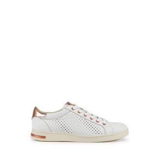 Geox Baskets basses Jaysen perfor&eacute;es