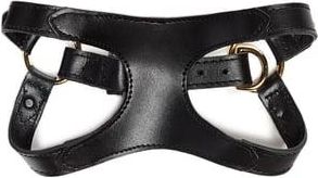 Versace Harnais pour animaux