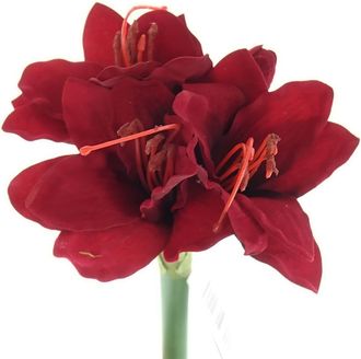 Gasper Amaryllis - Ritterstern Rot 31 cm - Kunstblumen