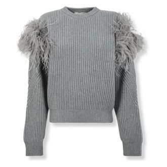 Blumarine Femme, Pulls, Gris, Taille: 40 FR Pull en Laine Côtelée avec Plumes