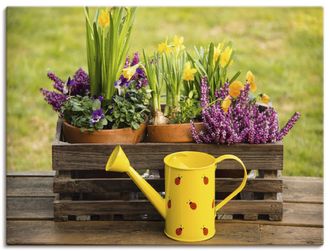 Artland Wanddeko Leinwand Bilder Wandbild Garten Blumen Frühling Narzissen Stiefmütterchen Landhaus S8IP