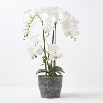 Homescapes K&uuml;nstliche wei&szlig;e Phalaenopsis-Orchidee im dunkelgrauen Keramik-Topf, 82 cm