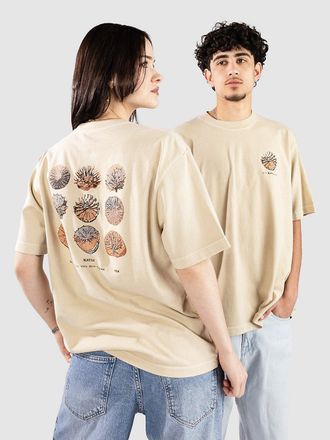 Katin USA Specimen Box Fit T-Shirt pelican