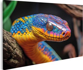 Islandburner Bild auf Leinwand Bunte Schlange zeigt ihre lebhaften Schuppen in Nahaufnahme Bilder Wandbilder Poster