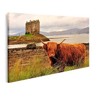 Islandburner Tableau sur Toile Vache Highland Loch Linnhe Ecosse Cadre Affiche Poster Murale Tableaux