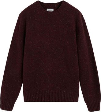 Scalpers Pullover Noah