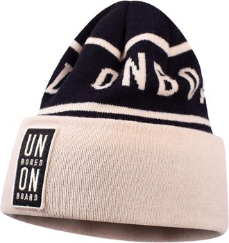 Eivy League Beanie