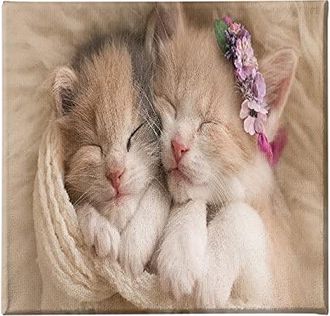 Homemania HM20KNV60x60-252 Bild Feline - Tiere - für Wohnzimmer, Schlafzimmer - Mehrfarbig aus Polyester, Holz, 60 x 3 x 60 cm - HM20KNV60 x 60 - 252