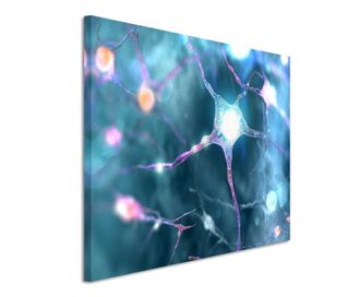 Paul Sinus Art XXL Fotoleinwand 120x80cm Neuronales Netzwerk Nerven auf Leinwand exklusives Wandbild moderne Fotografie für ihre Wand in vielen Größen