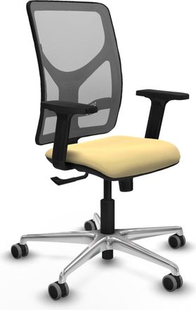 Piqueras y Crespo B&uuml;rostuhl mit verstellbaren Armlehnen, h&ouml;henverstellbare Lendenwirbelst&uuml;tze, ausgestattet mit 3 Positionen und Schneideschaum, Grau/Cremefarben