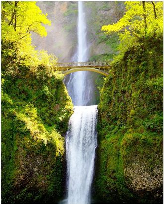 Wallario Poster - Br&uuml;cke &uuml;ber dem Wasserfall in Premiumqualit&auml;t, Gr&ouml;&szlig;e: 40 x 50 cm