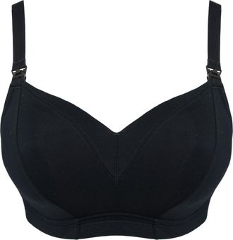 SugarShape Still-BH Cozymama