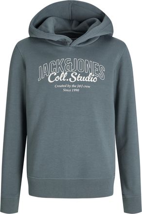 Jack & Jones JUNIOR Jjmakoto Sweat Hood Jnr