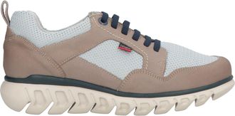 Callaghan ADAPTACTION