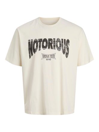 Jack & Jones T-Shirt JOREaglerock Gallery