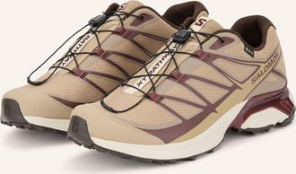 Salomon Sneaker Xt-Pathway Gtx beige