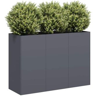 vidaXL Vidaxl - Jardini&egrave;re anthracite 120x40x80 cm acier lamin&eacute; &agrave; froid