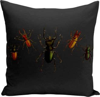 Fabulous Kissen Kissenbezug 40x40 cm Käfer Insekten Biologie Antike Illustration