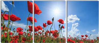 Pixxprint Mohnblumen als XXL Leinwandbild in Übergröße 180x80cm Gesamtmaß 3 teilig, Wandbild, Kunstdruck