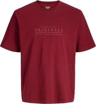 Jack & Jones T-Shirt JORCATSKILLS