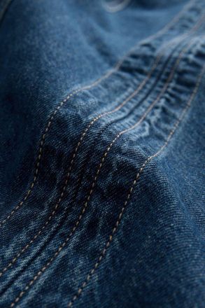 Next Minikleid Lang&auml;rmeliges Fit and Flare Minikleid (1-tlg)