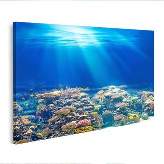 Islandburner Bild auf Leinwand Korallenriff Unterwasserstrahlen Meerestiere Blaues Wasser Bilder Wandbilder 100x57cm