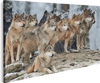 Islandburner Bild auf Leinwand Rudel W&ouml;lfe Schnee Bilder Wandbilder Poster