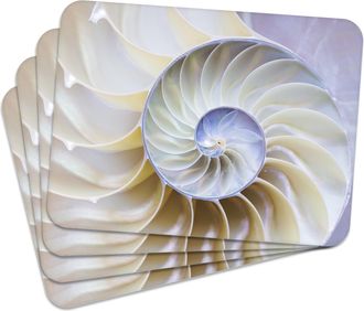 MG Design Set aus 4 Kork-Platzsets - Spiral Shell - 30 x 40 cm - hitzebeständig & abwischbar, mit Korkrückseite