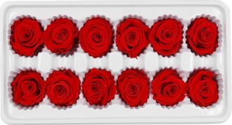 BESPORTBLE Unsterblicher Rosenstrau&szlig; 12 St&uuml;ck 3 4cm Konservierte Rote Rosenbl&uuml;ten f&uuml;r Hochzeitsdekoration und Valentinstagsgeschenk