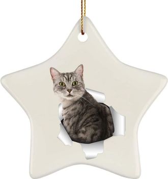 Generic Weihnachtsbaum Deko Mit Schnur Weihnachten Ornamente Keramik Geschenkanh&auml;nger Weihnachtsbaumschmuck Lustige Manx-Katze Grau Getigert Kommt Aus Rissige