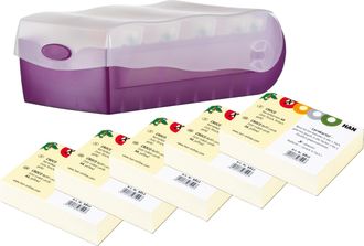 Han Lernkarteibox CROCO, einfach Vokabeln lernen mit 5-Fächer-Lernsystem, DIN A8 Karteikasten für 500 Karten, inkl. 5 Stützplatten + 500 Lernkarten, Karte