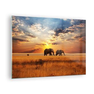Arttor Bilder auf Glas Elefanten Safari Dschungel Busch Glasbild 70x50cm Wandbilder Dekoration Wohnzimmer Schlafzimmer K&uuml;che Deko Klein Wanddeko Bild im Glas