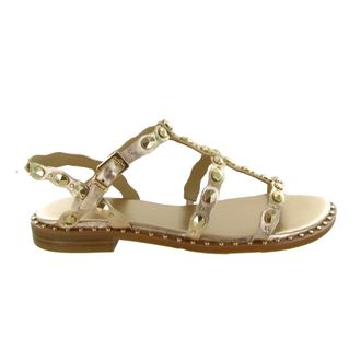 Ash Ash, Damen, Schuhe, Gelb, 37 EUGr&ouml;&szlig;e
