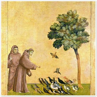 Posterlounge Der Heilige Franziskus von Assisi predigt den V&ouml;geln Poster von Giotto di Bondone 40 x 40 cm Gelb Wandbilder Wanddeko