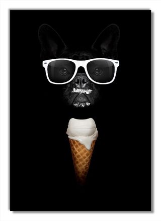 Wallario selbstklebendes Poster - Hund mit EIS, Aufkleber in Premiumqualit&auml;t, Klebefolie Gr&ouml;&szlig;e: 70 x 100 cm (Riesenposter)