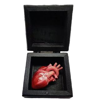 Generic Box mit menschlichem Herz, anatomische Dekoration des Herzens, detaillierte dekorative Schachteln, lustige Ornamente aus menschlichem Herz, leuchtende