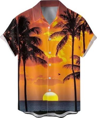 Generic Chemises hawa&iuml;ennes amusantes pour homme - Graphique tendance - Manches courtes - Boutonn&eacute;e - Pour l&eacute;t&eacute; - Palmier hawa&iuml;en - Revers - Plage des Cara&iuml;be