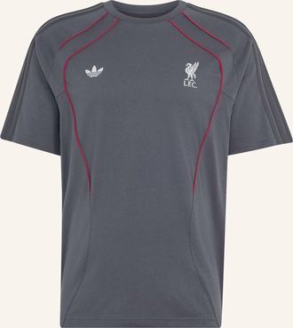 adidas Originals Adidas Originals Fc Liverpool 26/27 Originals Teamgeist 26 T-Shirt grau
