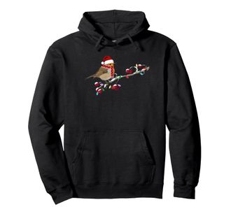 jz.birds Rotkehlchen auf einem Ast Vogel Weihnachten Ornithologe Pullover Hoodie