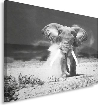 Feeby Frames, Leinwandbild, Bilder, Wand Bild, Wandbilder, Kunstdruck 80x120cm, GRO&szlig;ER ELEFANT, SCHWARZ UND WEI&szlig;