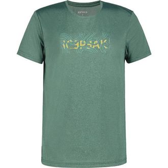 Icepeak Herren Shirt BEARDEN