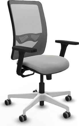 Piqueras y Crespo Grauer Schreibtisch Zulema mit 3D-Armlehnen, h&ouml;henverstellbare Lendenwirbelst&uuml;tze, ausgestattet mit 3 Positionen und Schneidschaum, mit Rollen von 65 