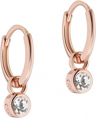 Ted Baker Ohrringe SINALAA