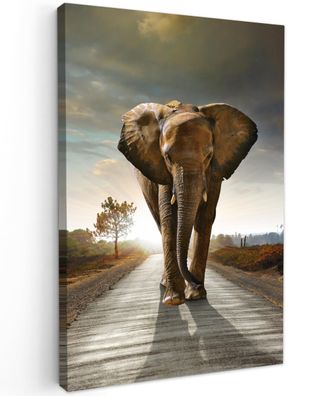 MuchoWow © Wandbilder Klein 20x30 cm Mini Schlafzimmer Home Deko Wohnung Bild Tier Wohnzimmer Fotoleinwand Wand Bilder Tierbilder auf Leinwand Wall Decor Wandd